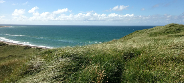 Frihed er at elske. Det kan man holde skole på. - Friskolearkivet